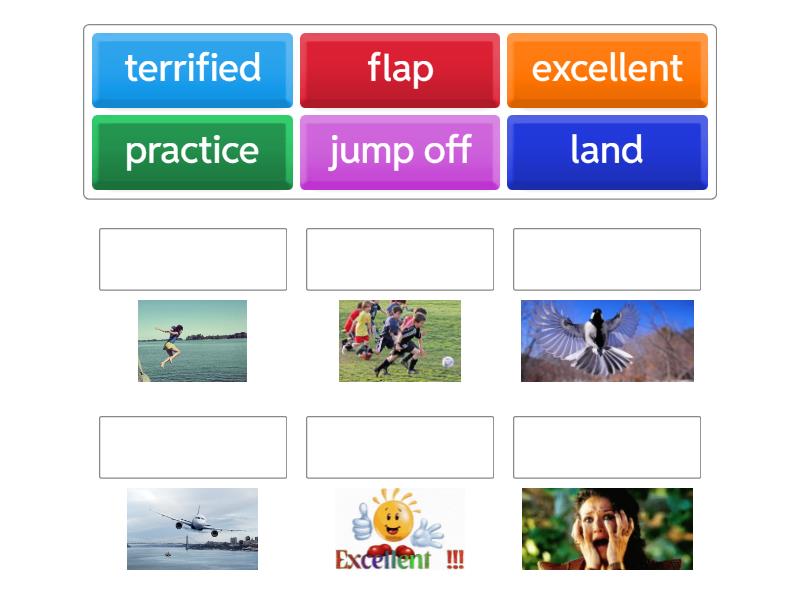 Little Flap learns to Fly - Match up