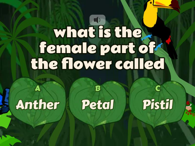 Parts of a flower - Quiz