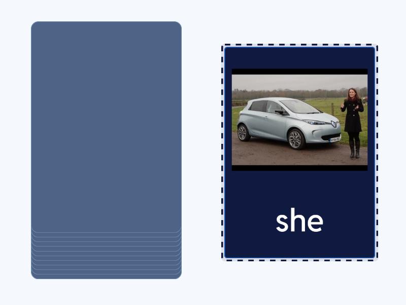 Have/Has got - Speaking cards