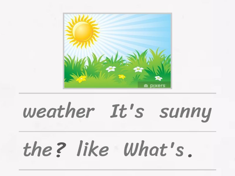 Unit 10: Lesson 2 - Grammar - Unjumble