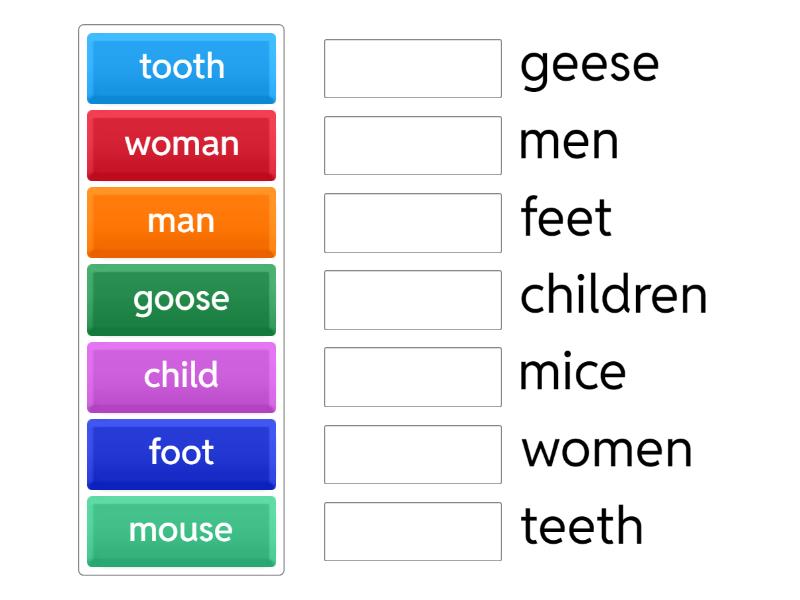 Plural Nouns--5 - Match up