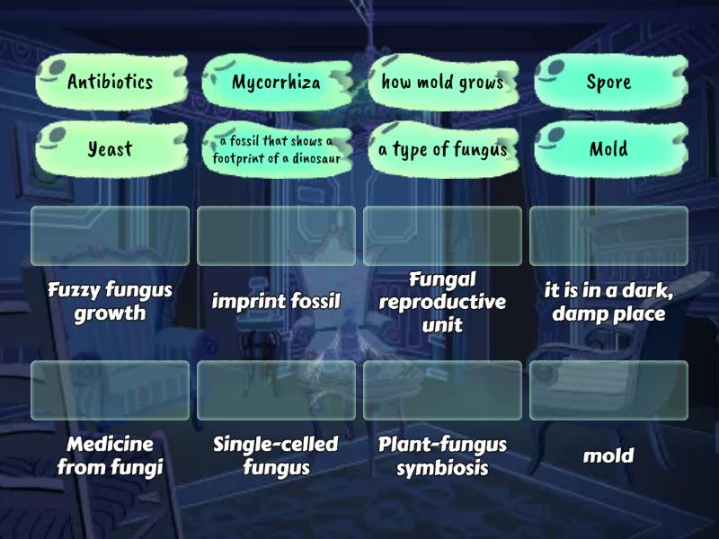 Fungus and Fossils Fundamentals - Match up