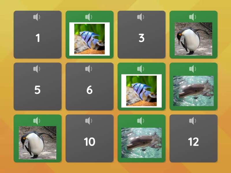 Beehive Starter Unit 6 lesson 1 - Matching pairs