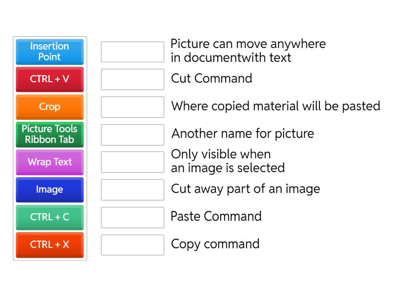 Copy Cut and Paste Quiz - Match up