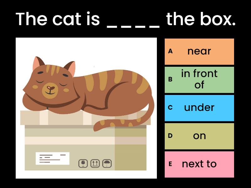 Prepositions of place | The cat & the box - Đố vui