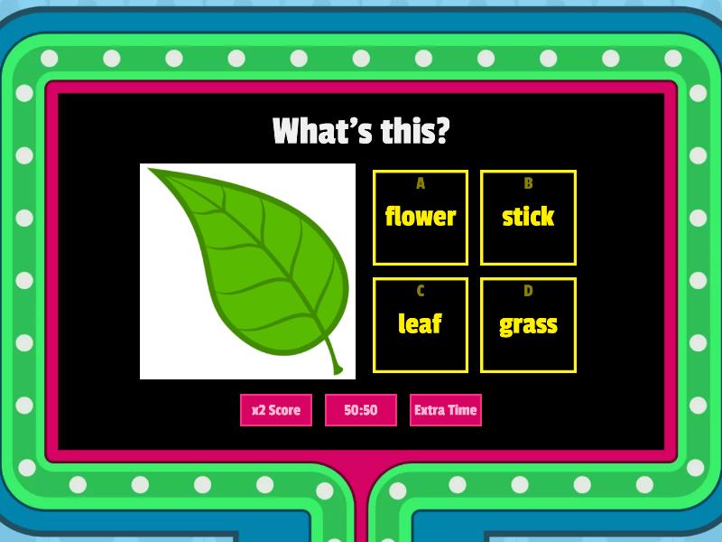 Quiz U2 Insects - Gameshow quiz