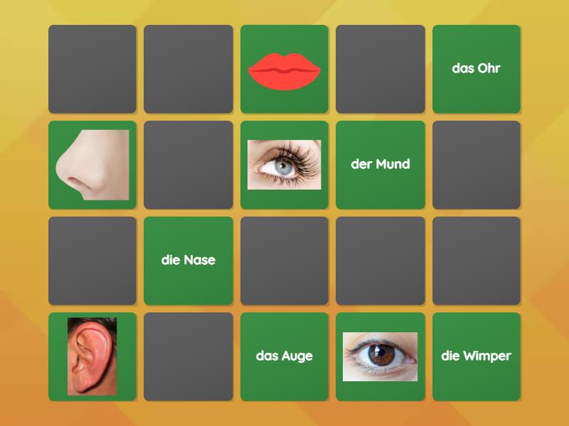 Körperteile - Gesicht - Matching pairs