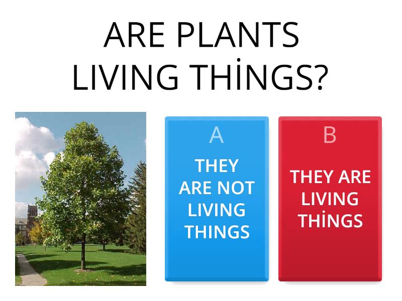PLANTS ARE LIVING THINGS - Quiz