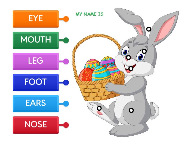 EASTER BUNNY BODY PARTS - Diagrama con etiquetas