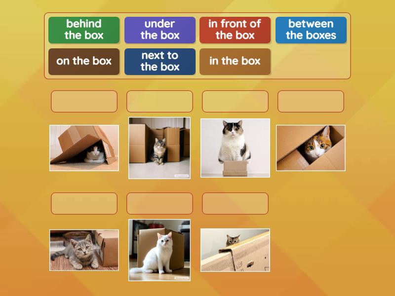 Prepositions of place Cats - Match up