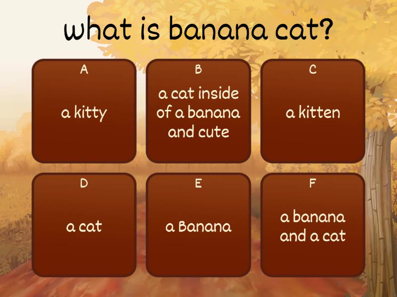 Banana cat - Quiz