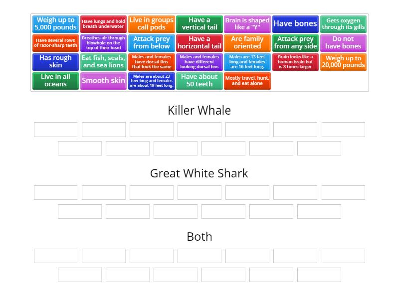 Comparing & Contrasting the Killer Whale and the Great White Shark ...