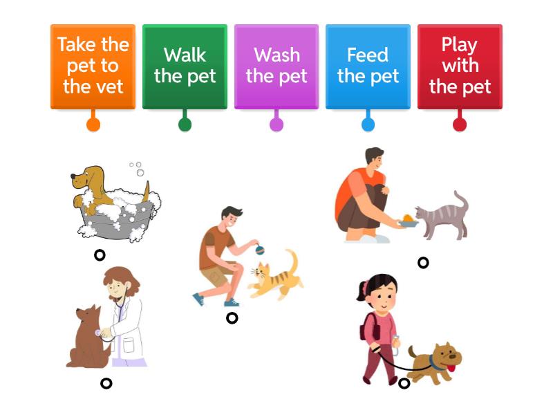 taking care of pets - Labelled diagram