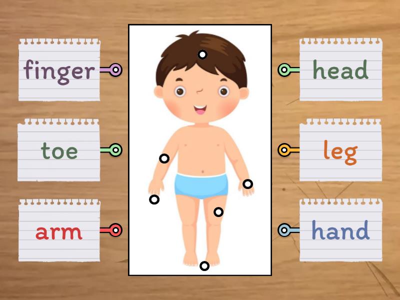 Parts of the body Go getter 1 Unit 4.2 - Labelled diagram