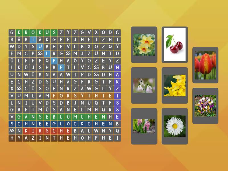 Frühblüher - Wordsearch