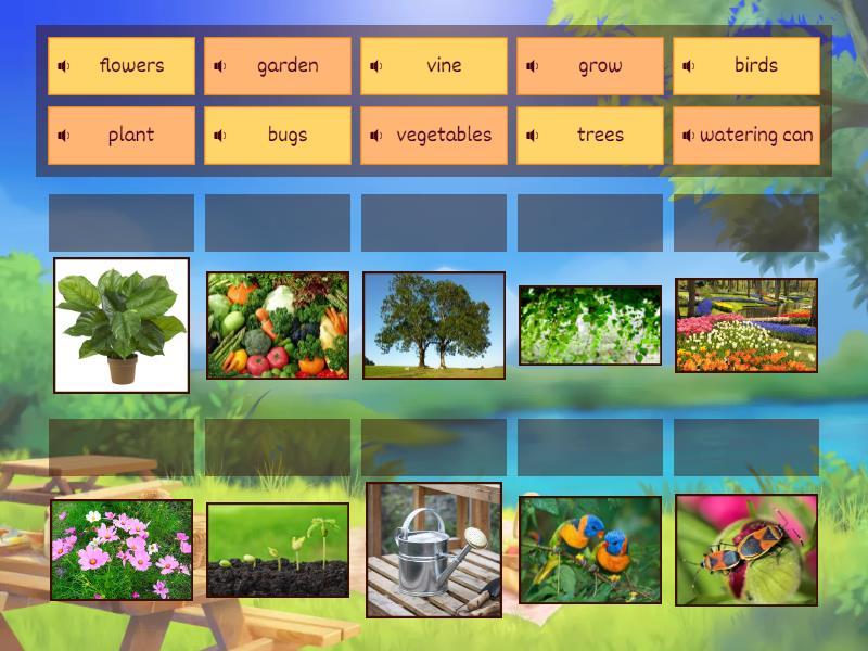 WBASIC 2 UNIT 3_Family Garden [Vocabulary] - Match up