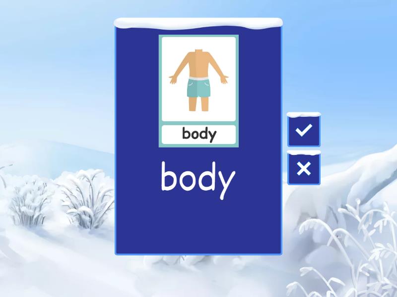 My body - Tarjetas flash