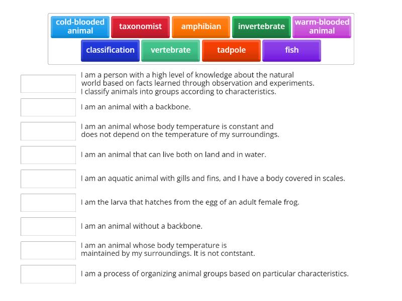 Riddles for CKLA Unit 2 Pausing Point - Match up