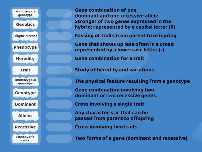 Genetics Vocabulary! - Match up
