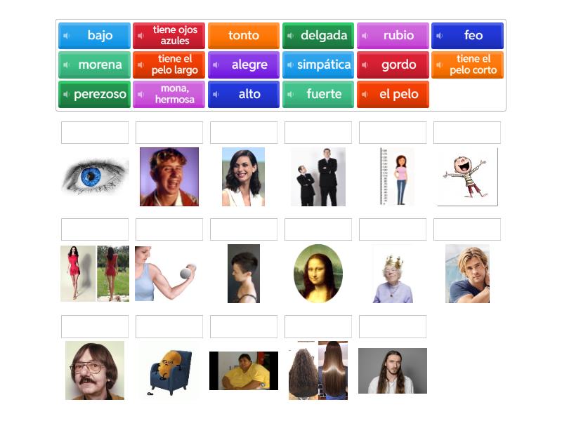 adjetivos para describir personas - Associação