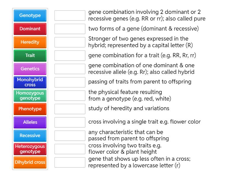Wordwall activity for Genetics - Match up