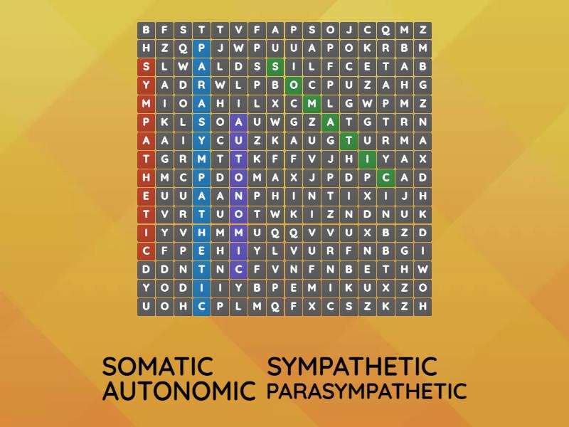 Keywords Practice - Wordsearch