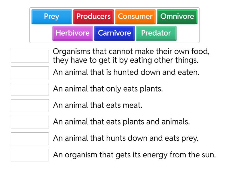 EP6 Food Chain VOcab - Match up