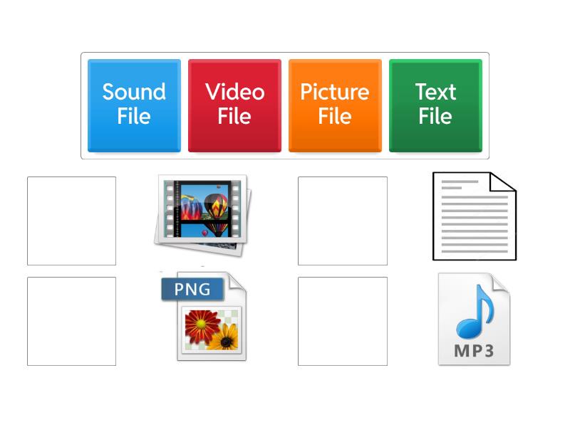 File Type - Match up