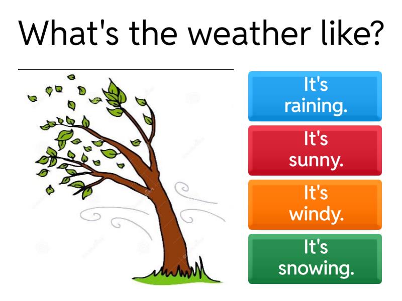 The Weather and Seasons - Quiz