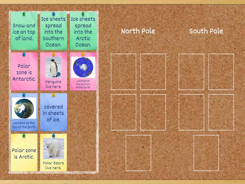 Where are the North and South Poles? What are they like? - Group sort
