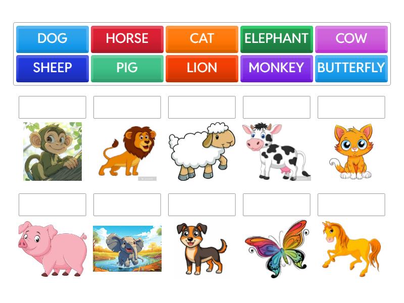 ANIMALS - Match up