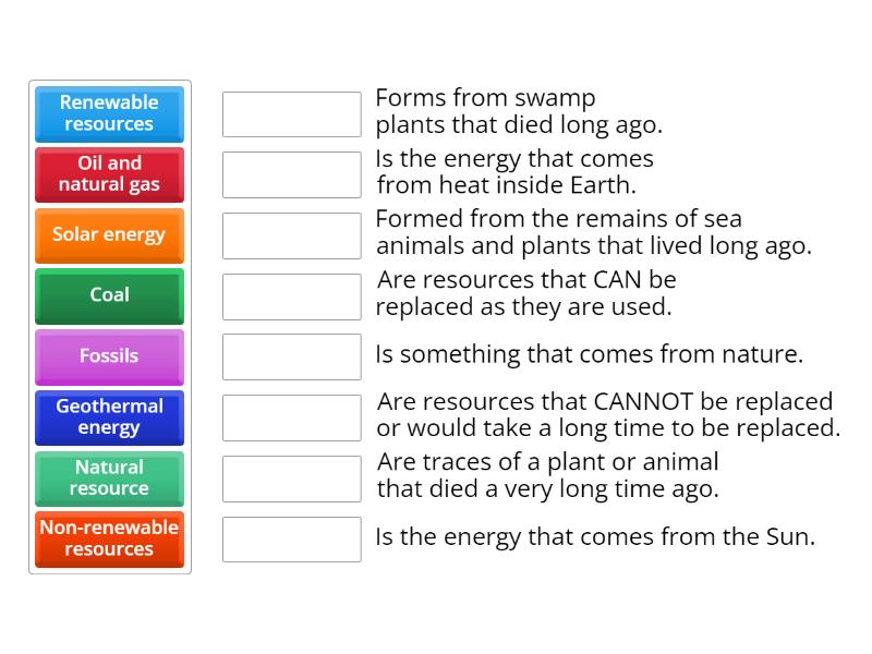 Natural Resources (Grade 4) - Match up