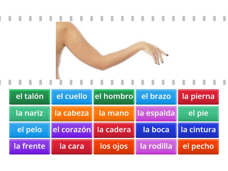 El cuerpo - Find the match