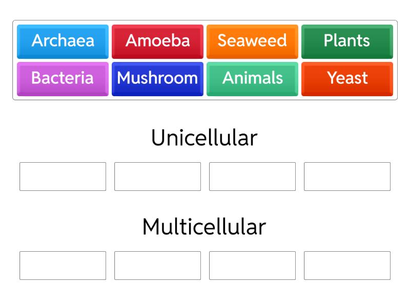Unicellular and Multicellular - Group sort