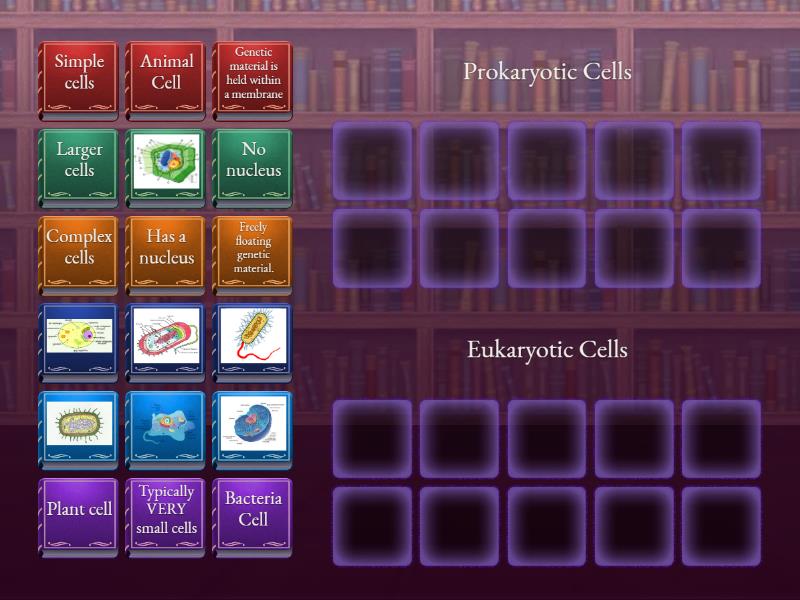 Prokaryotic vs Eukaryotic - Group sort