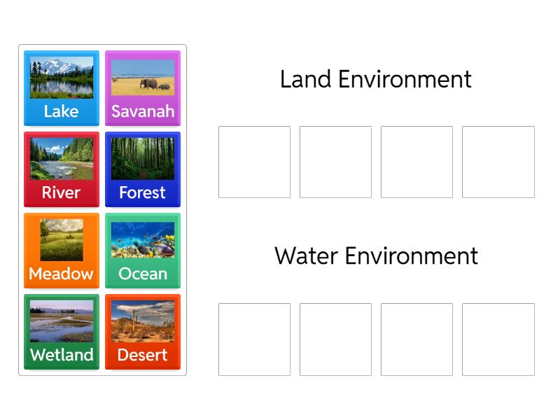 Where Plants and Animals live - Group sort