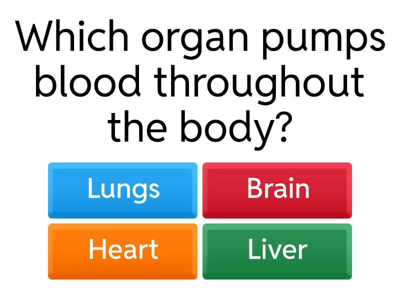 Circulatory - Quiz