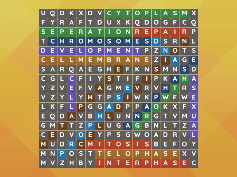Cell Cycle & Mitosis Word Search - Wordsearch