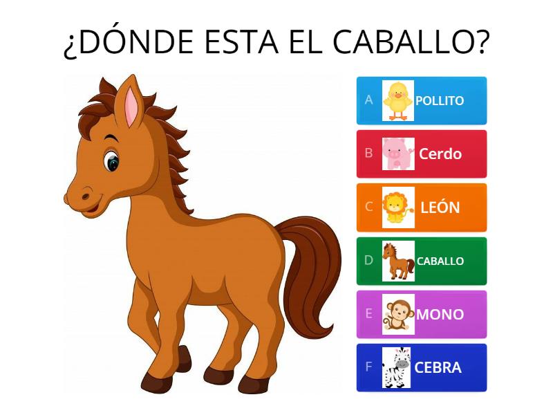 ¿DONDE ESTÁ? - Quiz