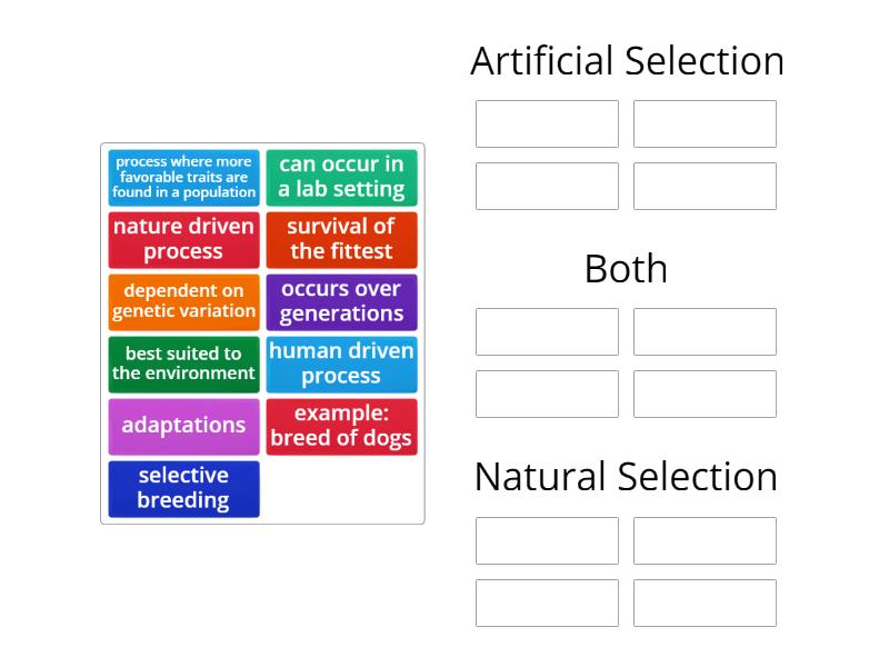 Artificial Selection vs Natural Selection - Group sort