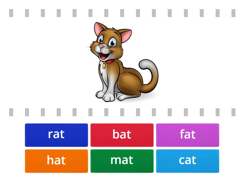 cat-bat-hat-mat-fat-rat_find and match - Tìm đáp án phù hợp