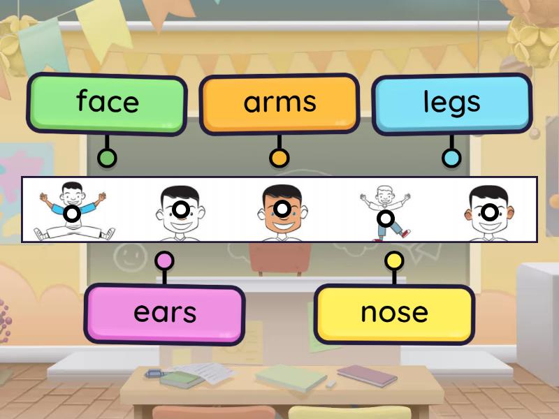 MY BODY - Labelled diagram