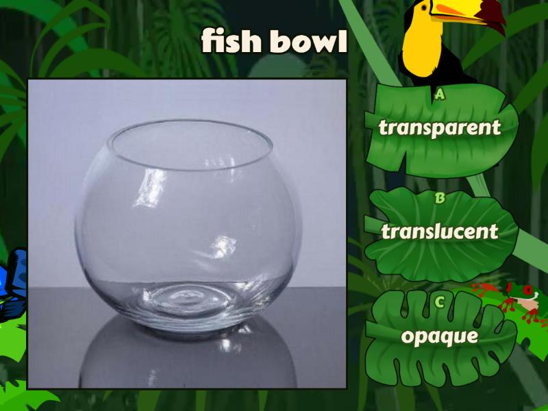 Grade Unit 3-Light and Transparent, Translucent or Opaque - Quiz