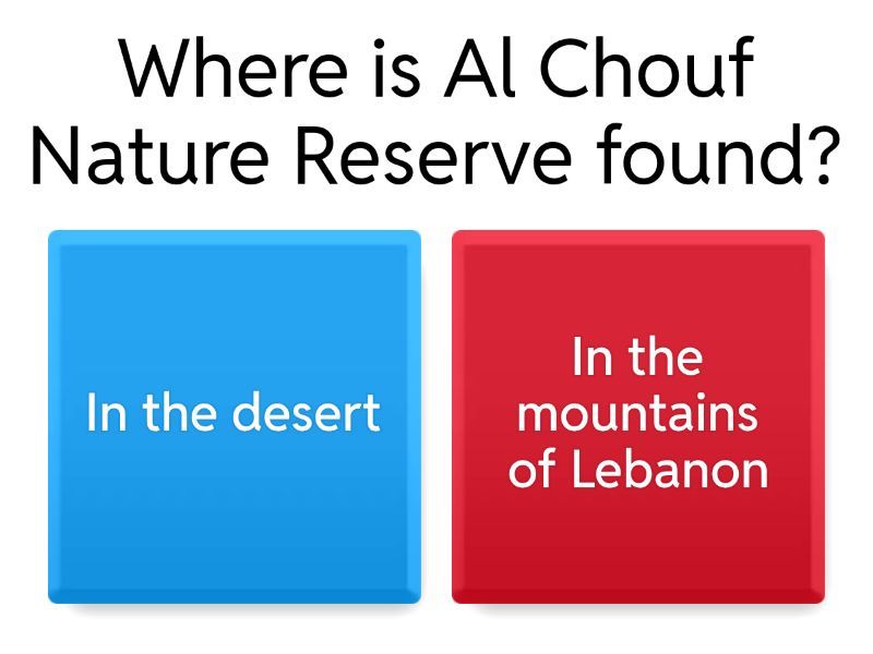 Read and Answer the Questions - Quiz