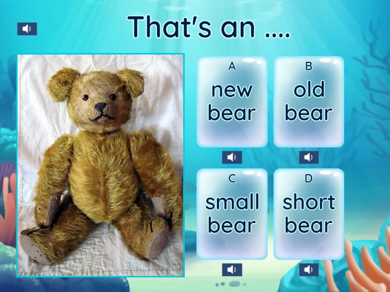 Everybody Up 1 - Unit 8 Adjectives 1 - Quiz