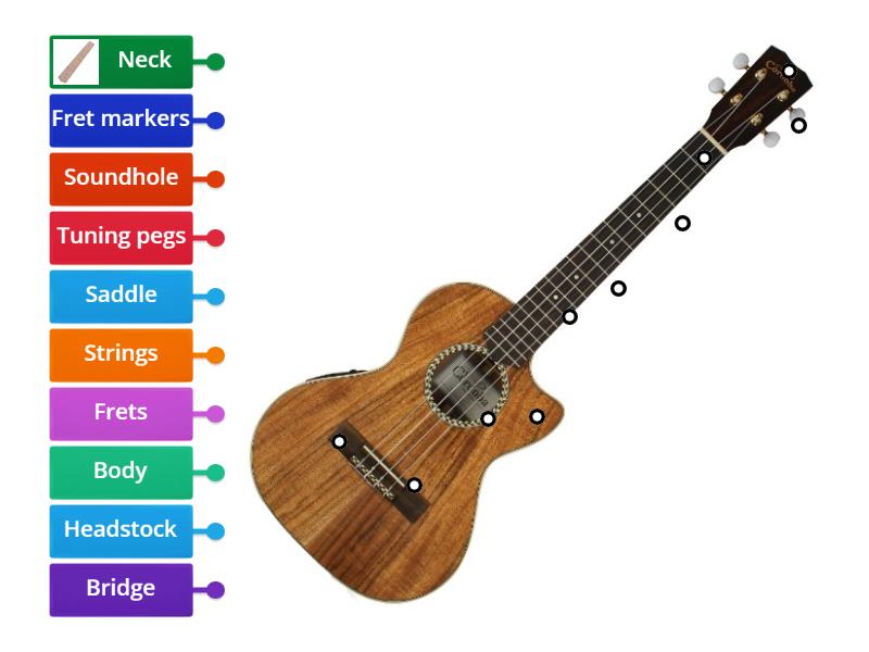 Parts of the ukulele - Labelled diagram