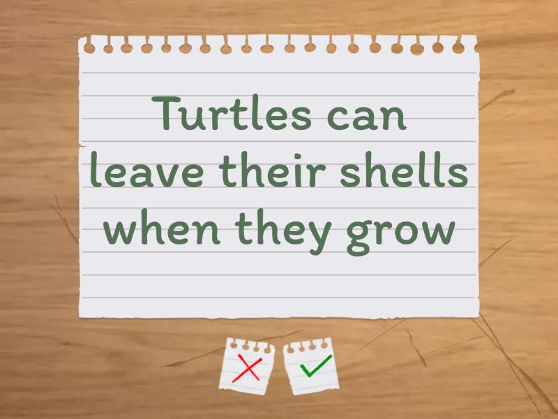 Task turtle - Flash cards