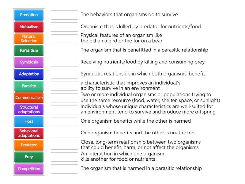 Symbiosis & Predation - Match up