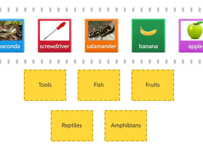 Sorting Activity - Speed sorting