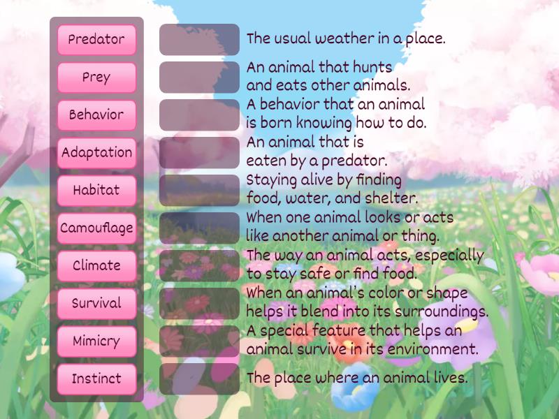 Adaptation Matching - Match up